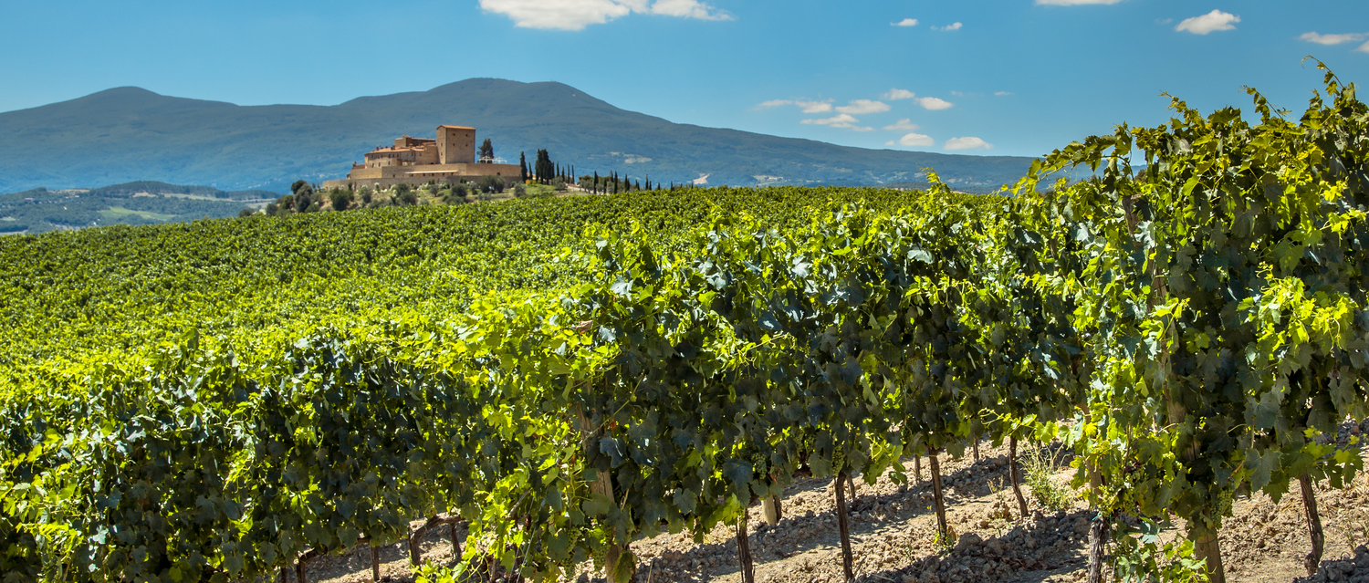 The viner things in life… - The Luxury Property Show